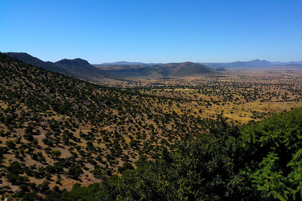 Tours by 4x4 in Morocco | The Argan route | Direction Sud Maroc